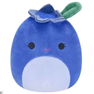 Squishmallows | Toys | Brand New Bluby The Blueberry Squishmallows 2 ...